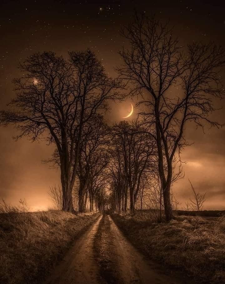 4 Directions – Prayer of Native Americans – GreatCosmicMothersUnite